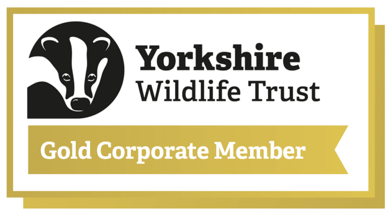 Building – Colt Construction